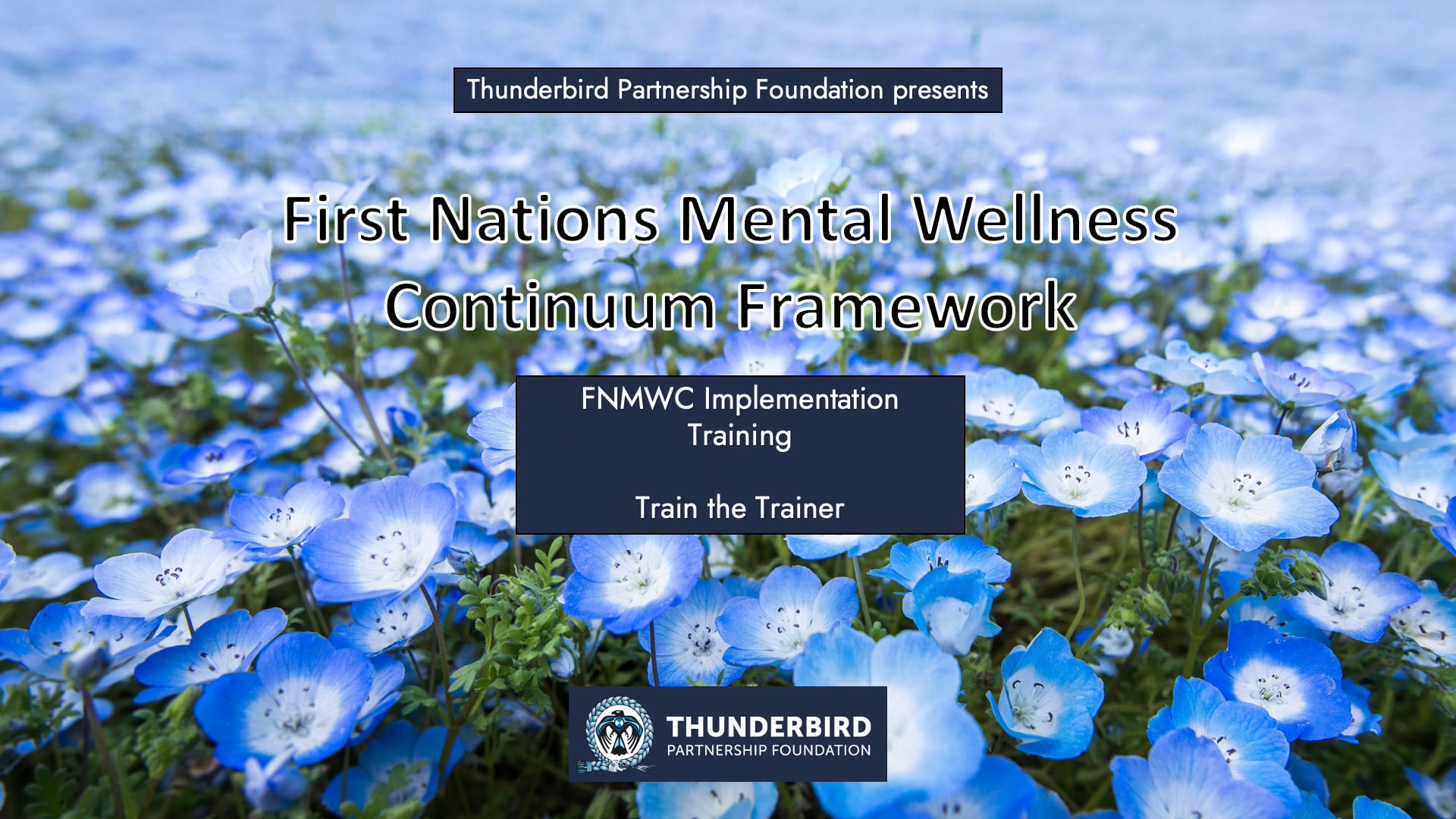 First Nations Mental Wellness Continuum (FNMWC) TTT Trailer
