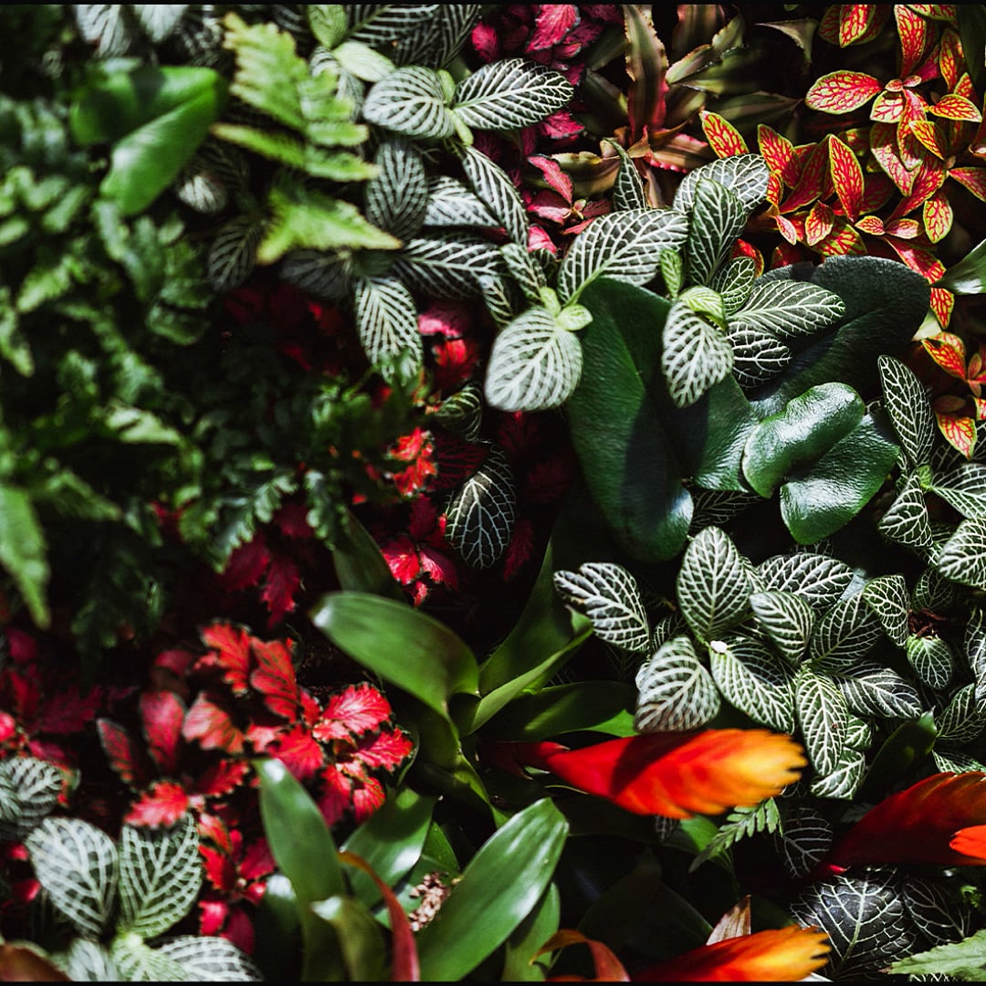 Kinetic Frames Opener ( Square Version ) on Vimeo