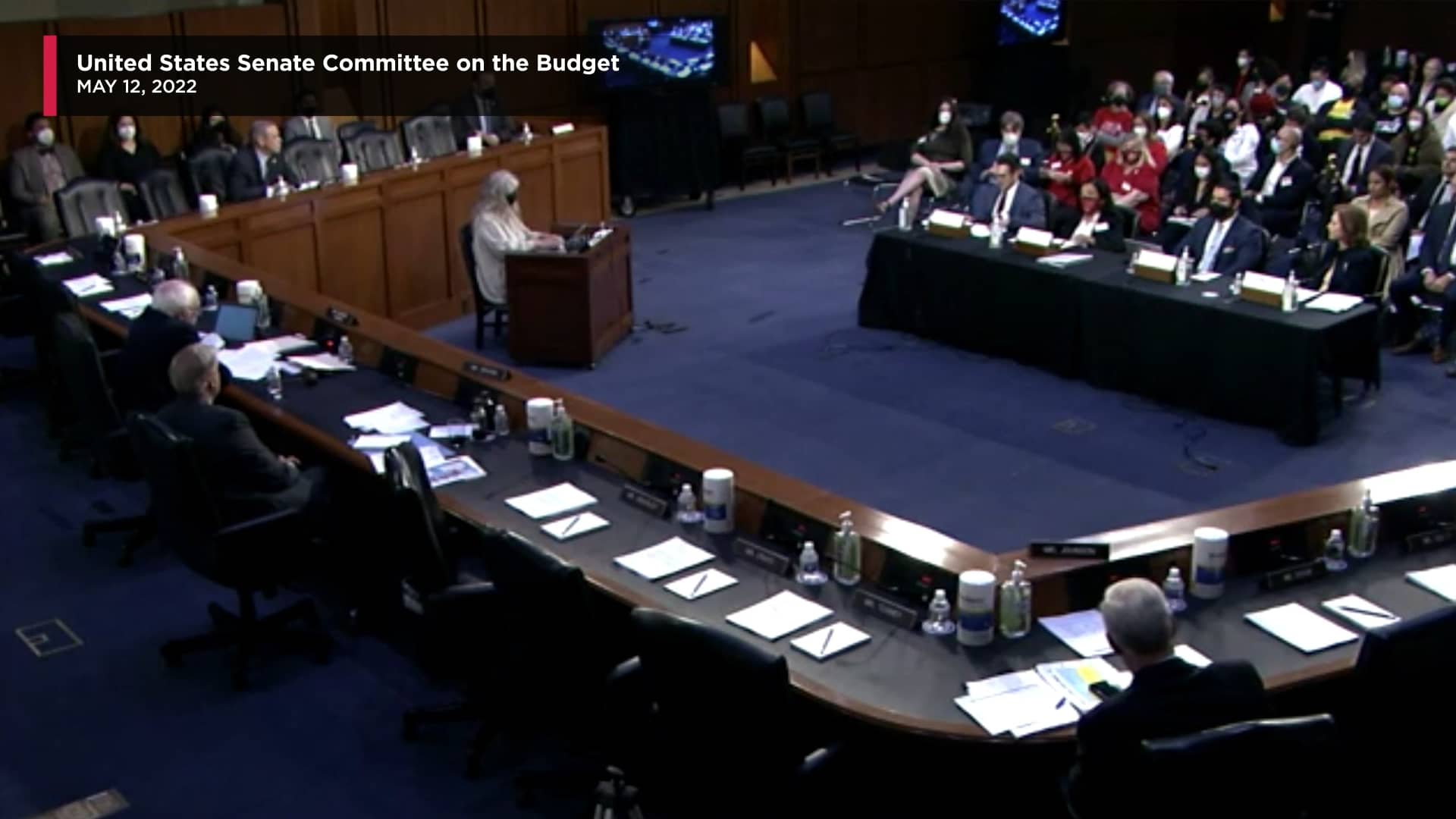 RN Bonnie Castillo Testifies before US Senate for Medicare for All on Vimeo
