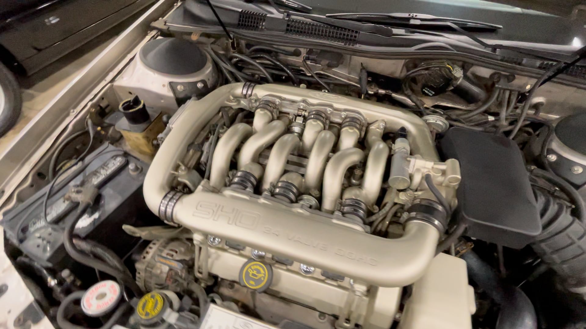 1989 Ford Taurus SHO | F243 | Indy 2022