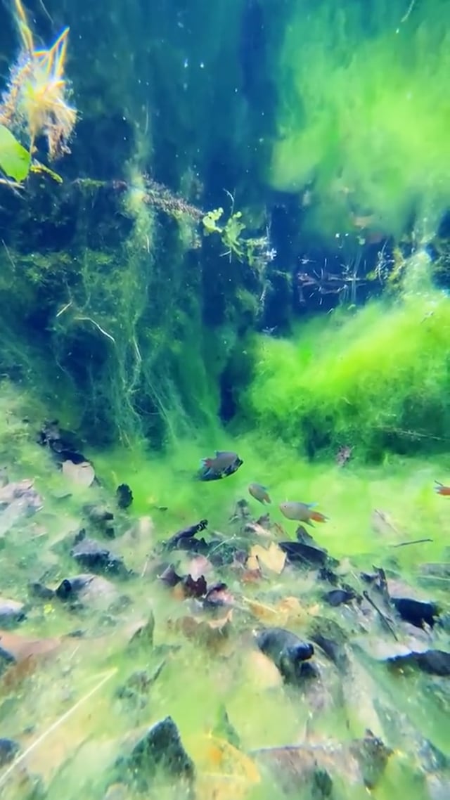 Osama Farrell Channel on Vimeo