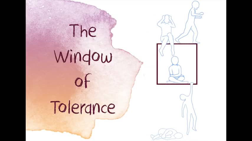 The Window of Tolerance Animation by Beacon House-(480p) 08112021 on Vimeo