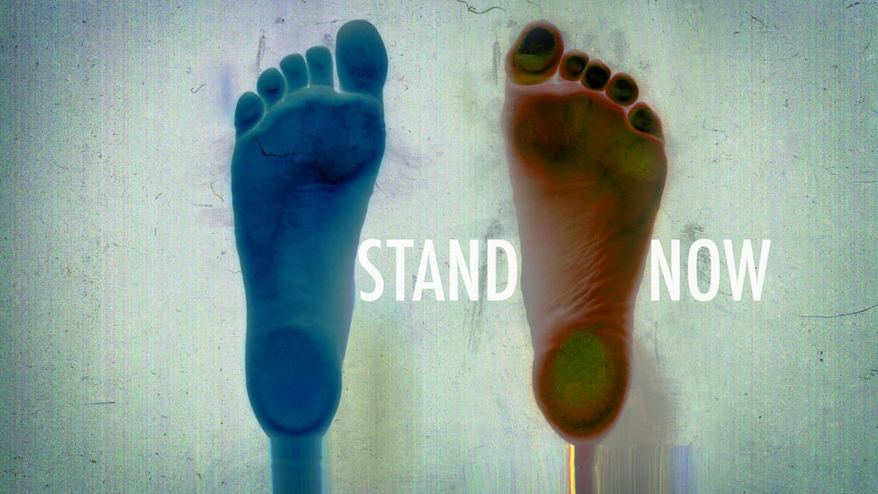 The Trees—They Were Once Good Men | Poem by Todd Boss | Film by Emma ...