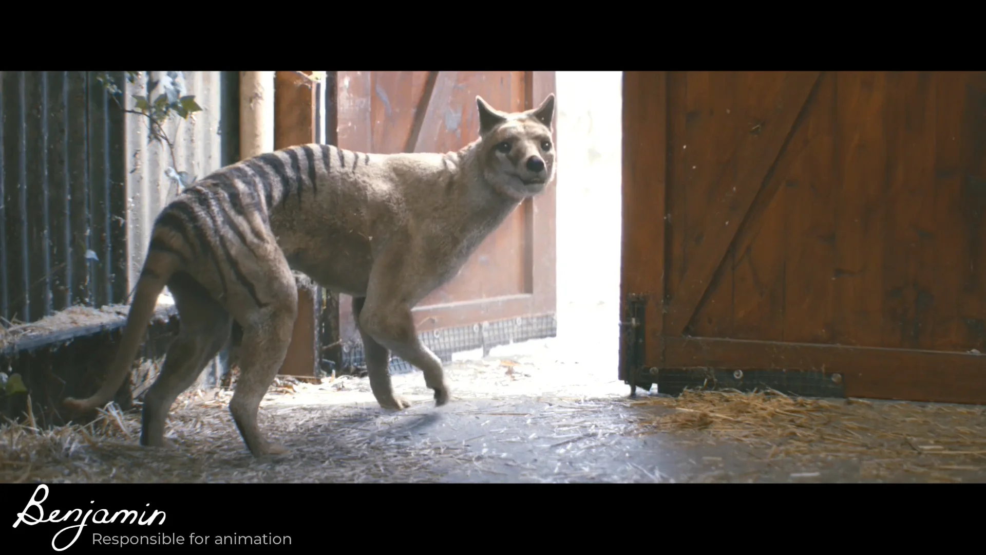 Andrea Veda | VFX Animation Showreel on Vimeo