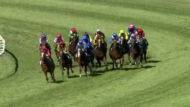 I Am Invincible - Stallion | Breednet