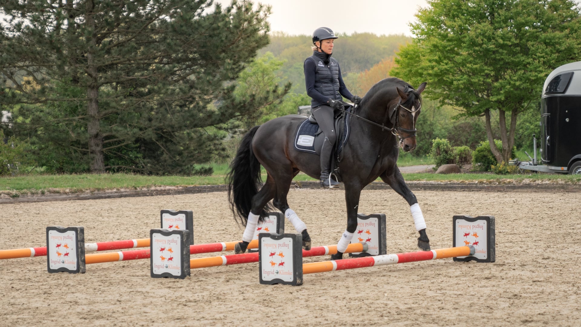 Cavaletti Exercises: Part 1 | Ridely