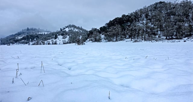 Snow, Spring, Seasons. Free Stock Video - Pixabay