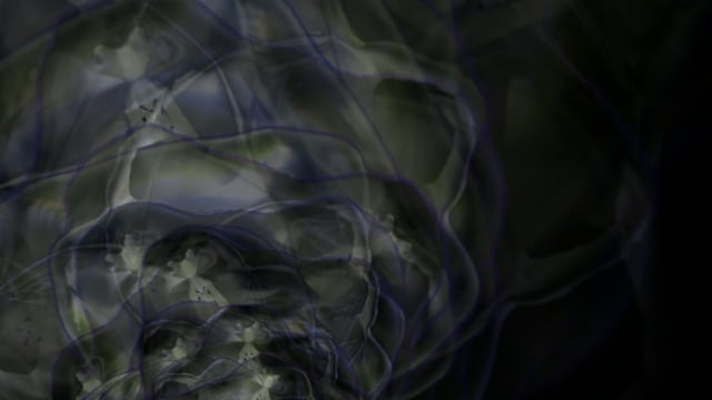 Abstract Particles Scary - Free video on Pixabay