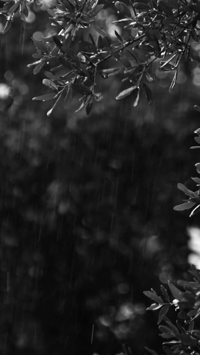 Daryl Little Channel on Vimeo