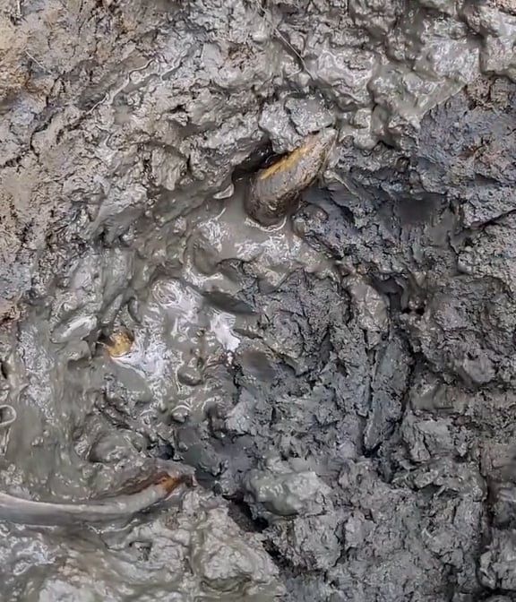 Fish From Under Deep Mud on Vimeo