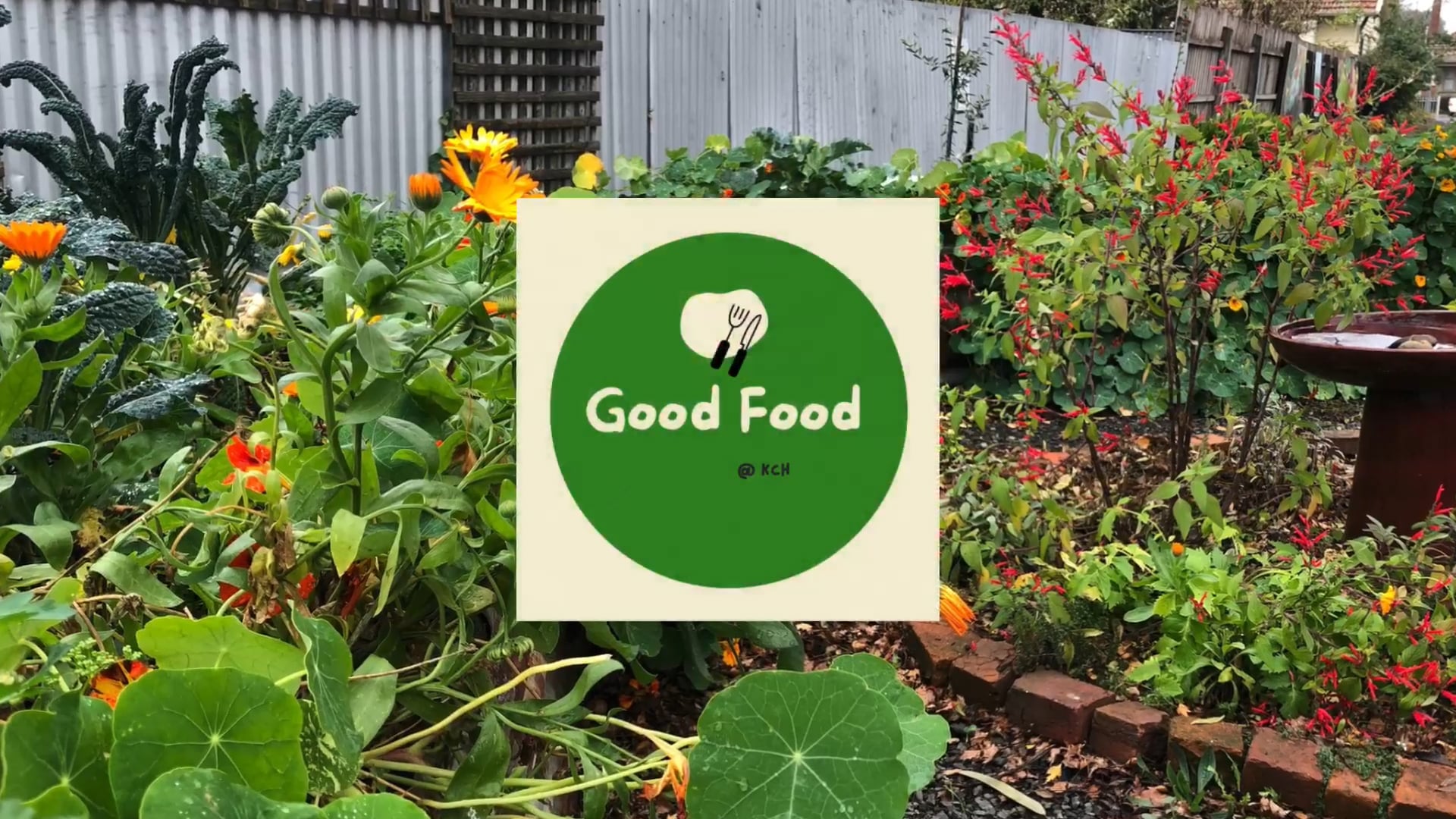 Good Food @KCH on Vimeo