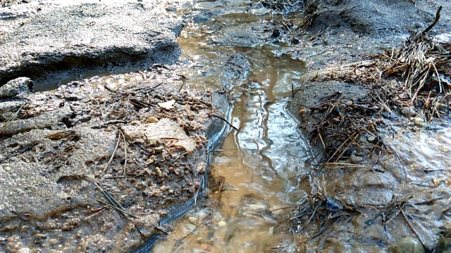 Stream Flow Puddle - Free video on Pixabay