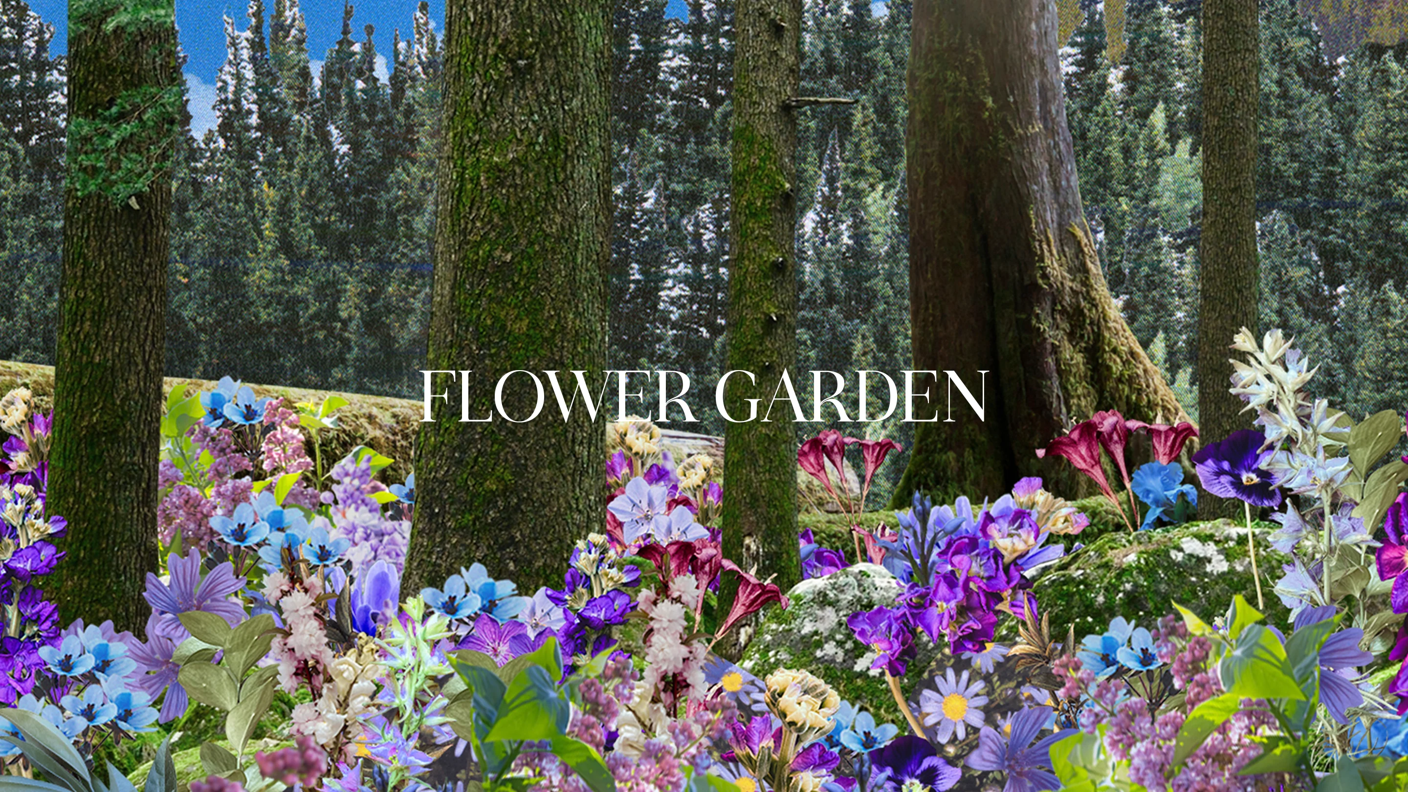 Flower Garden on Vimeo