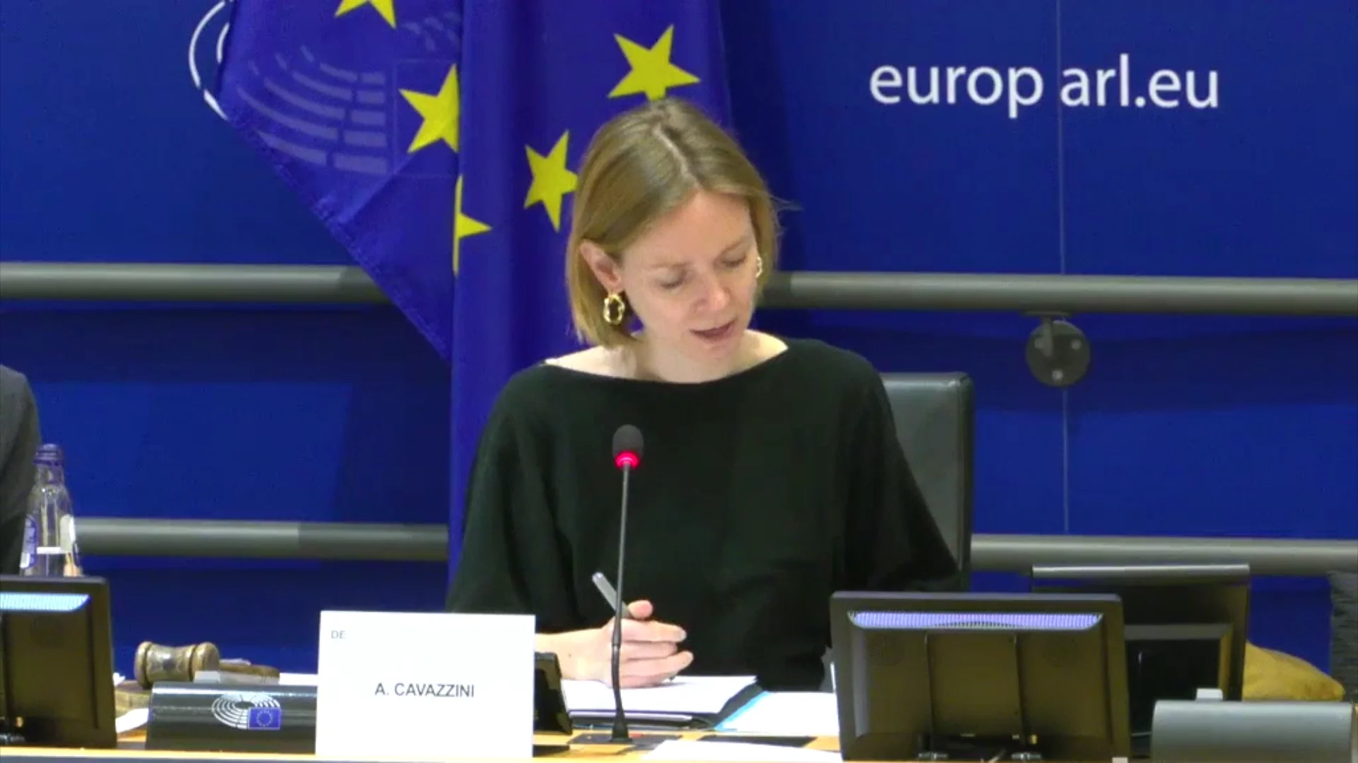 Harry Brignull presenting at European Parliament IMCO public hearing on ...