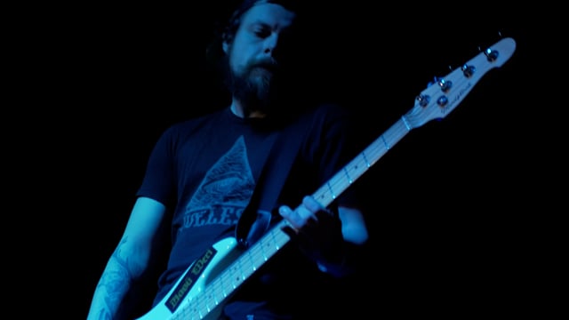 Homme Musicien Festival - Free video on Pixabay - Pixabay