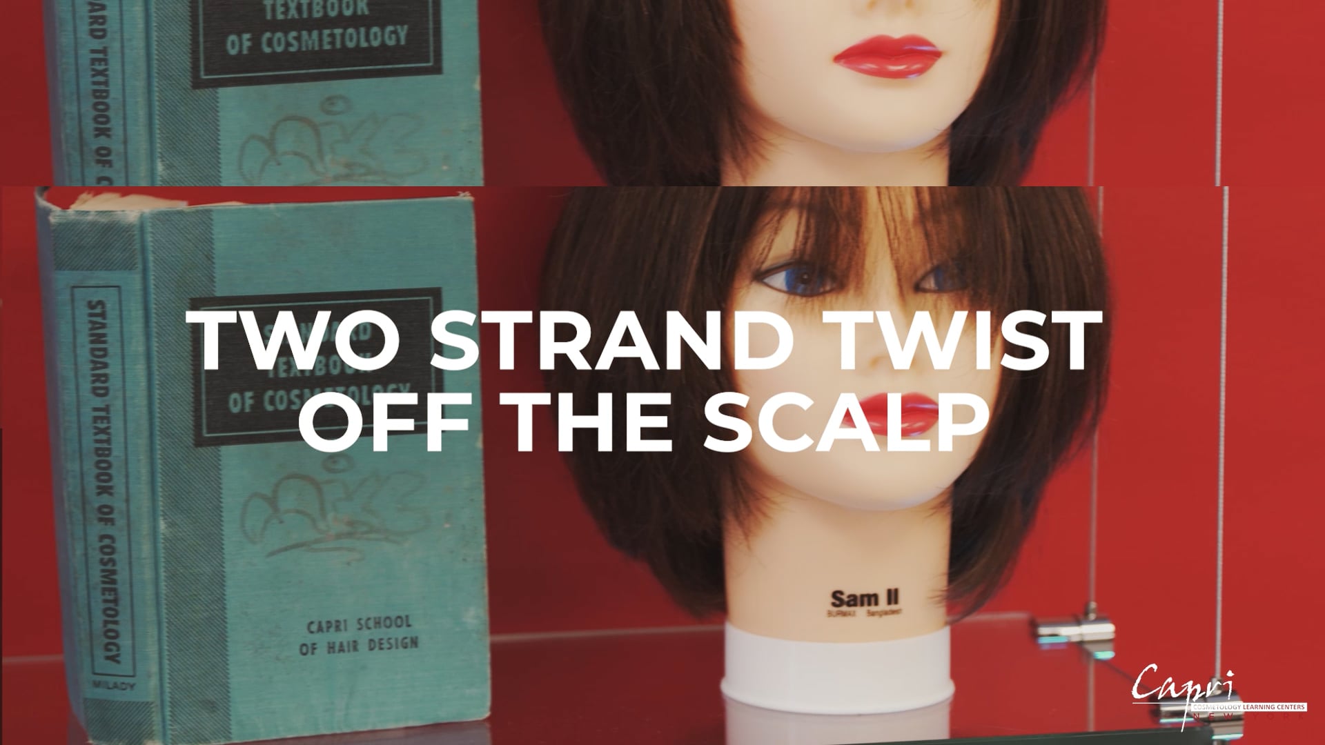 Capri Basics | 2 Strand Off The Scalp Twist