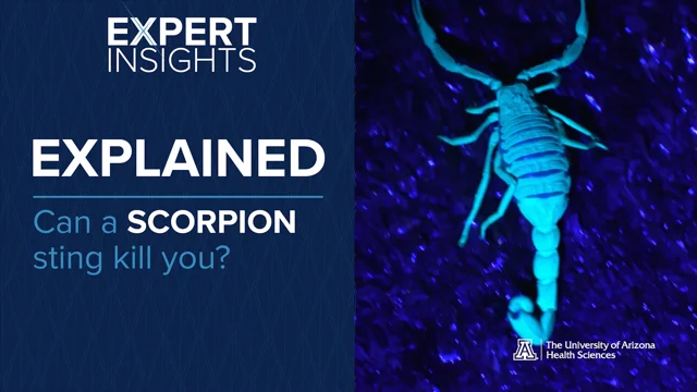 Scorpion Stinging Itself