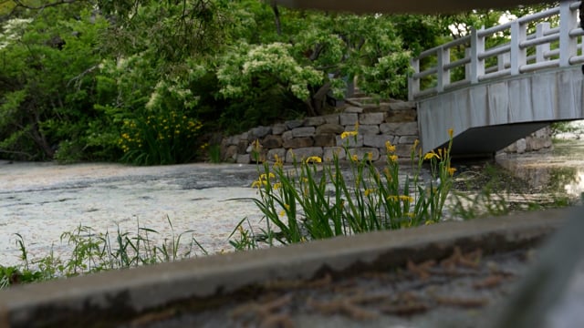 Pond, Miryang, Lake. Free Stock Video - Pixabay