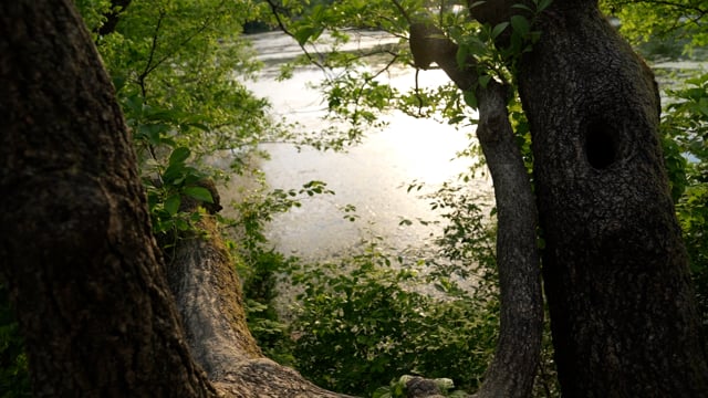 Lago Miryang Agua - Free video on Pixabay - Pixabay