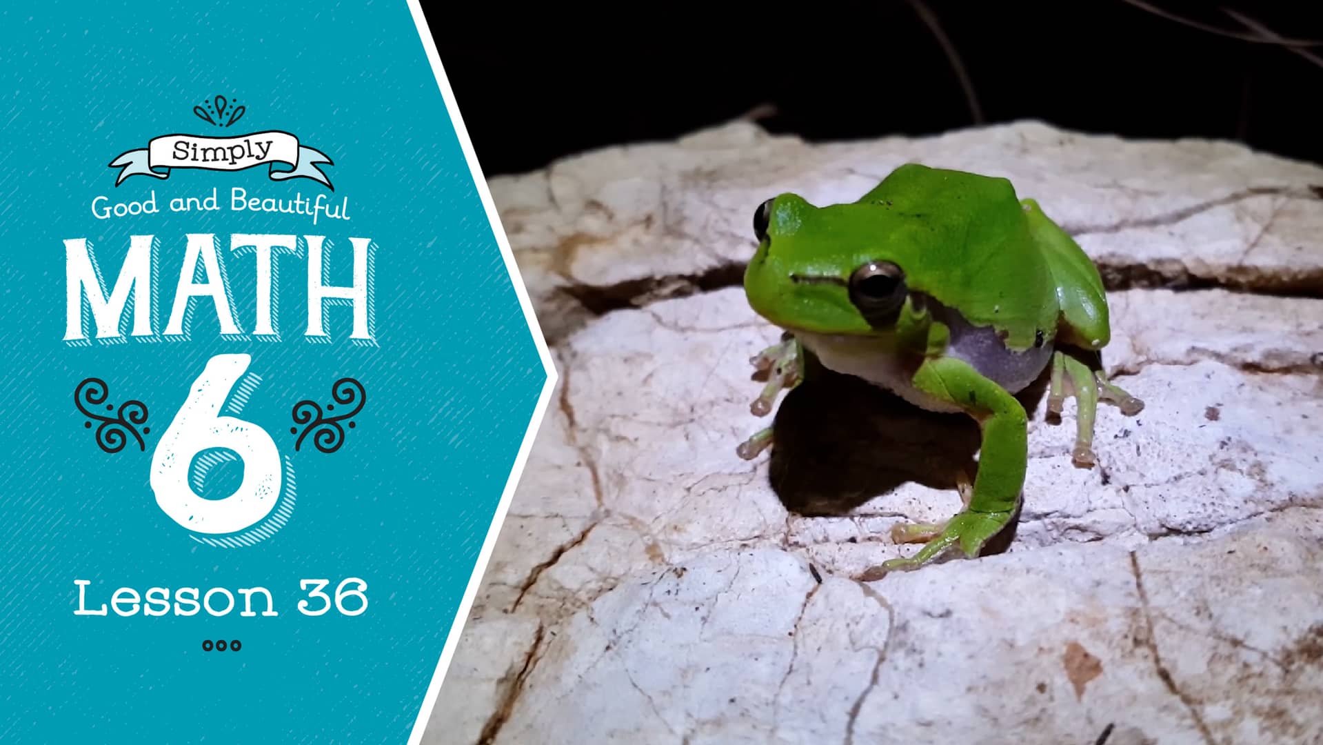 Lesson 36 | Simply Good and Beautiful Math 6 on Vimeo