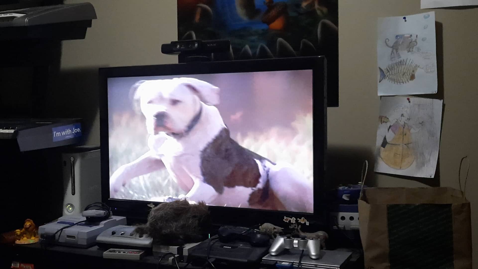 Peter Porcupine watches "Homeward Bound: The Incredible Journey" on Vimeo