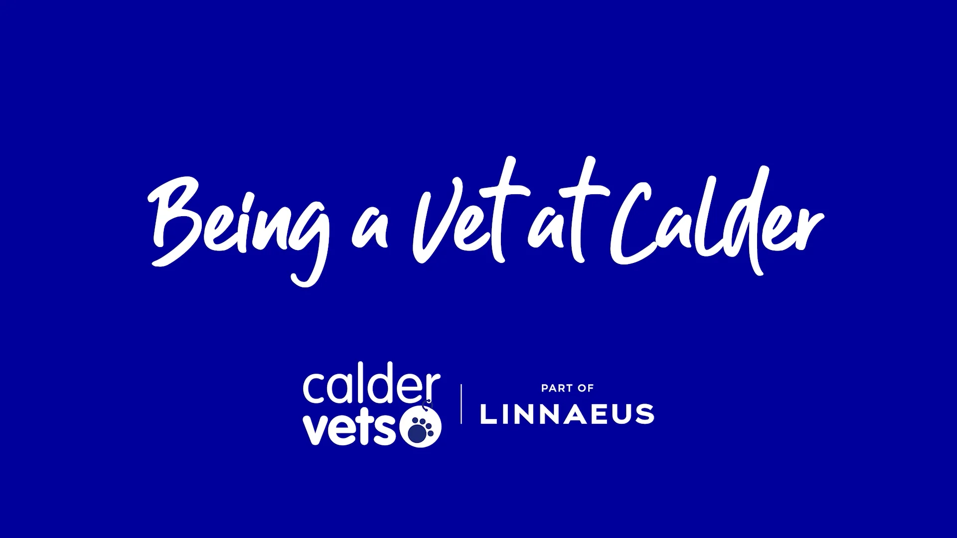Being a Vet at Calder Vets on Vimeo
