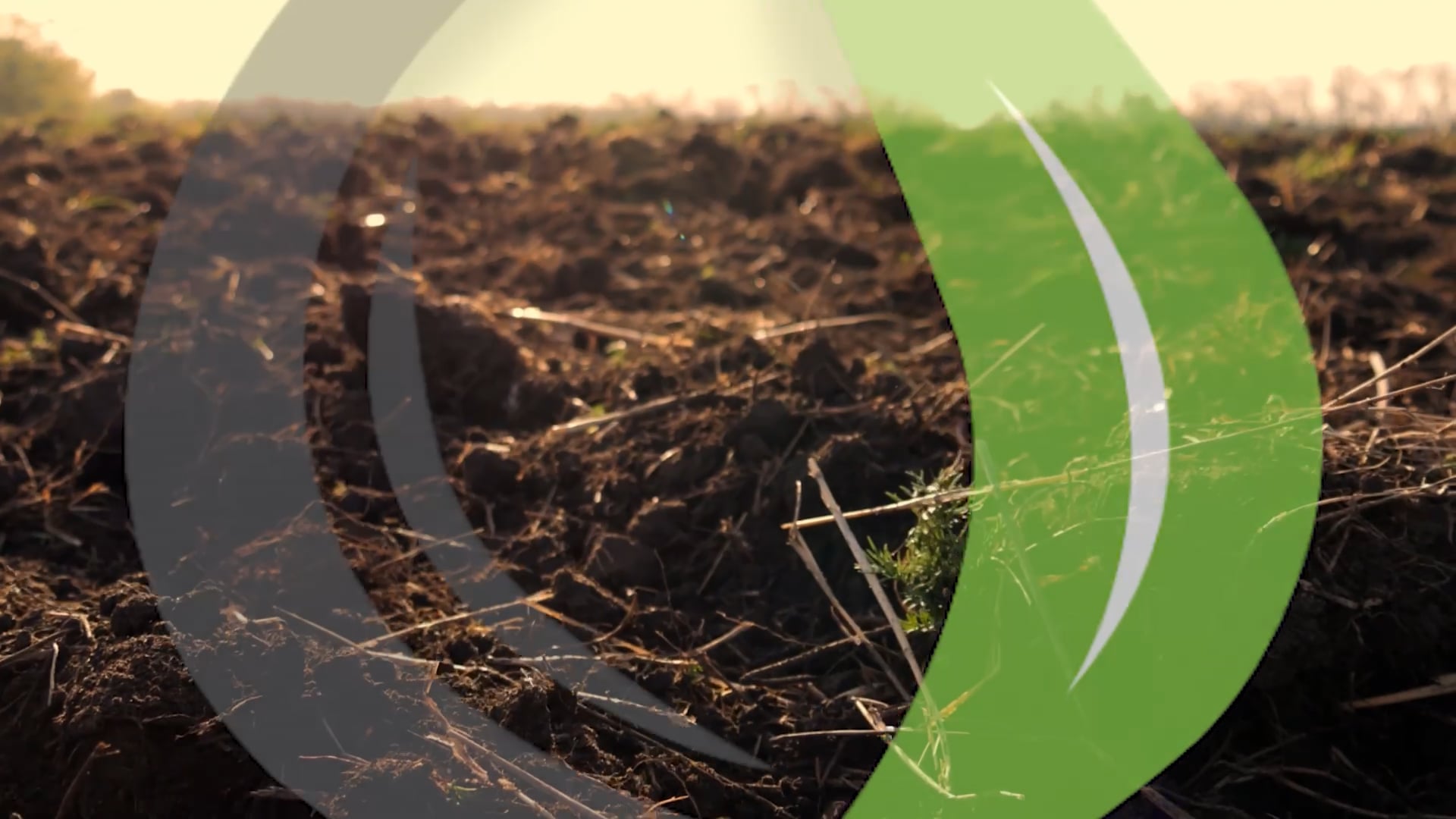 Staff | Good Lands Environmental Inc.