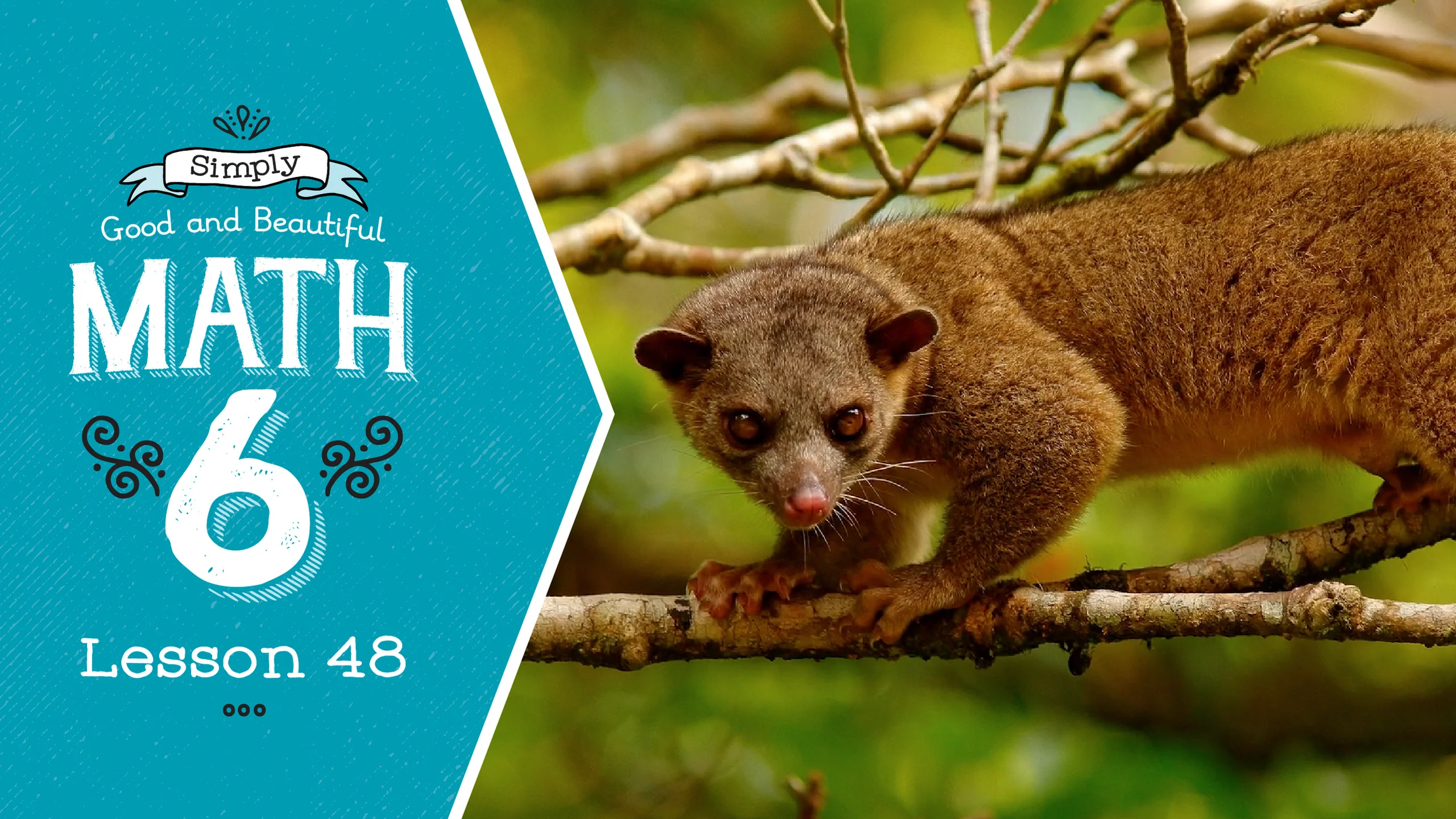 Lesson 48 | Simply Good and Beautiful Math 6 on Vimeo