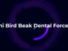 Mini Bird Beak Dental Forceps | GerDentUSA Inc.