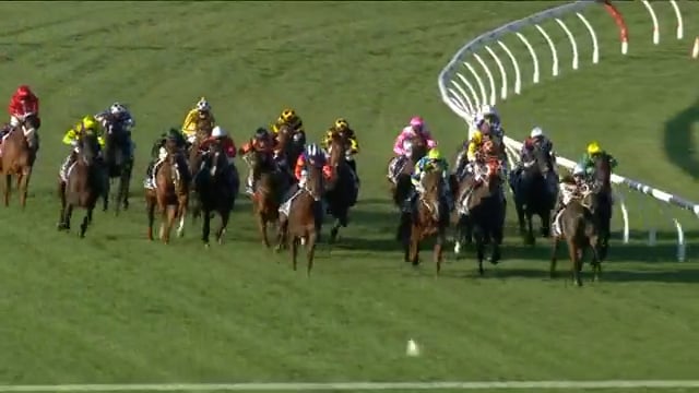 I Am Invincible - Stallion | Breednet