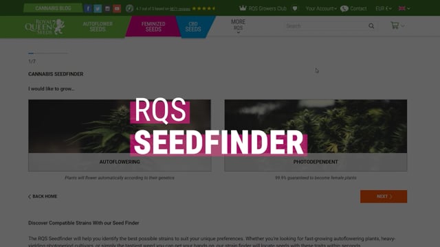Royal Queen Seeds Brand on Vimeo
