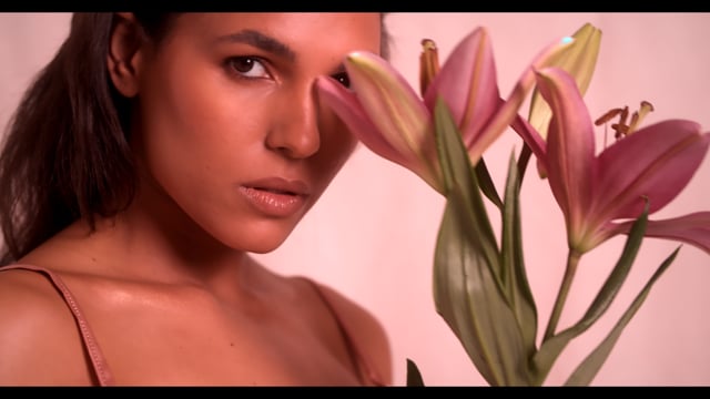Beauty on Vimeo