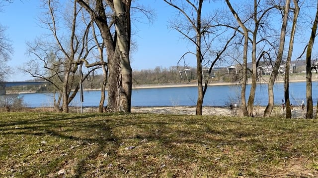 Bonn, Rheinaue, Rhine. Free Stock Video - Pixabay