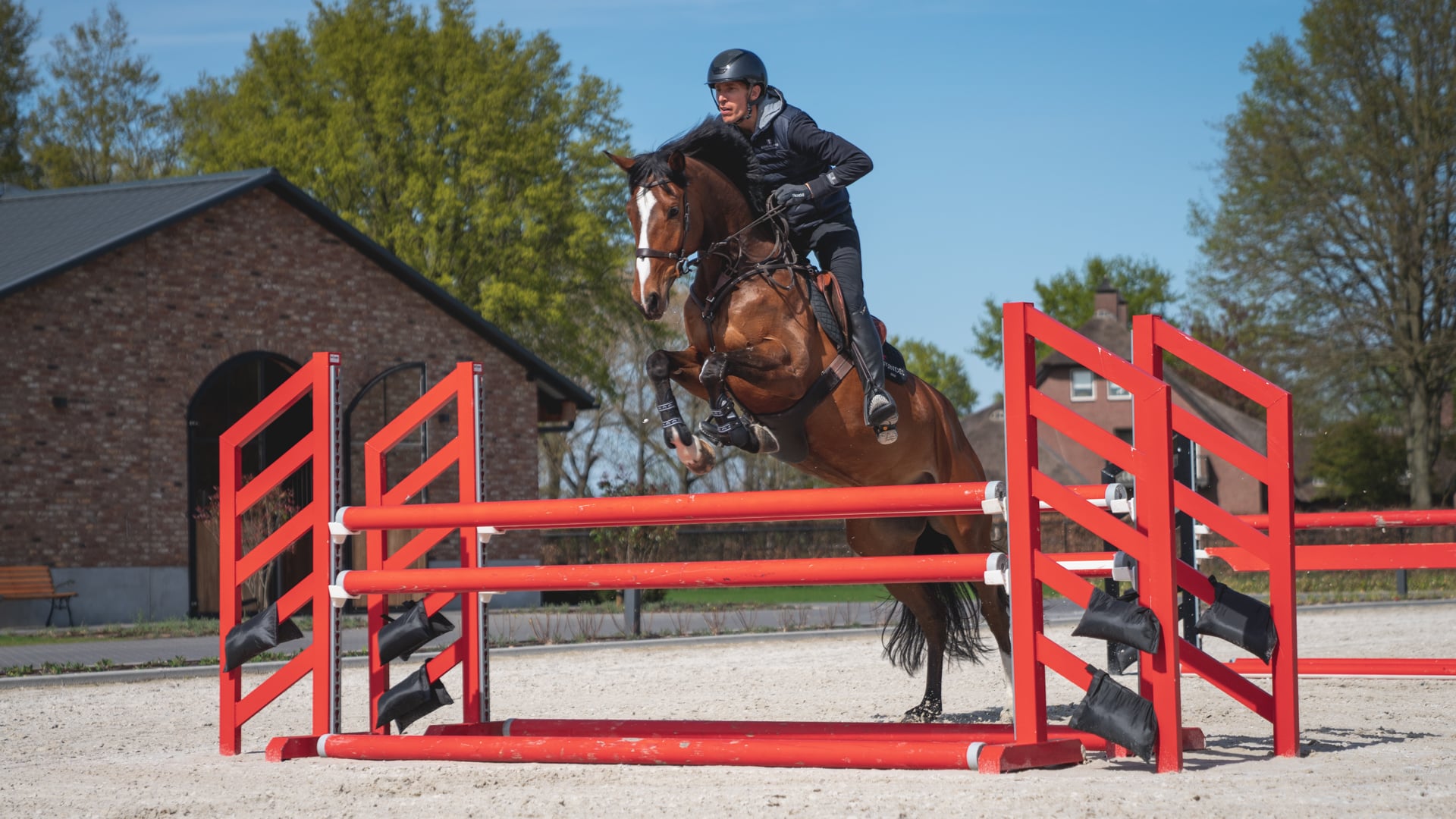 Jumping Combinations with Henrik von Eckermann | Ridely