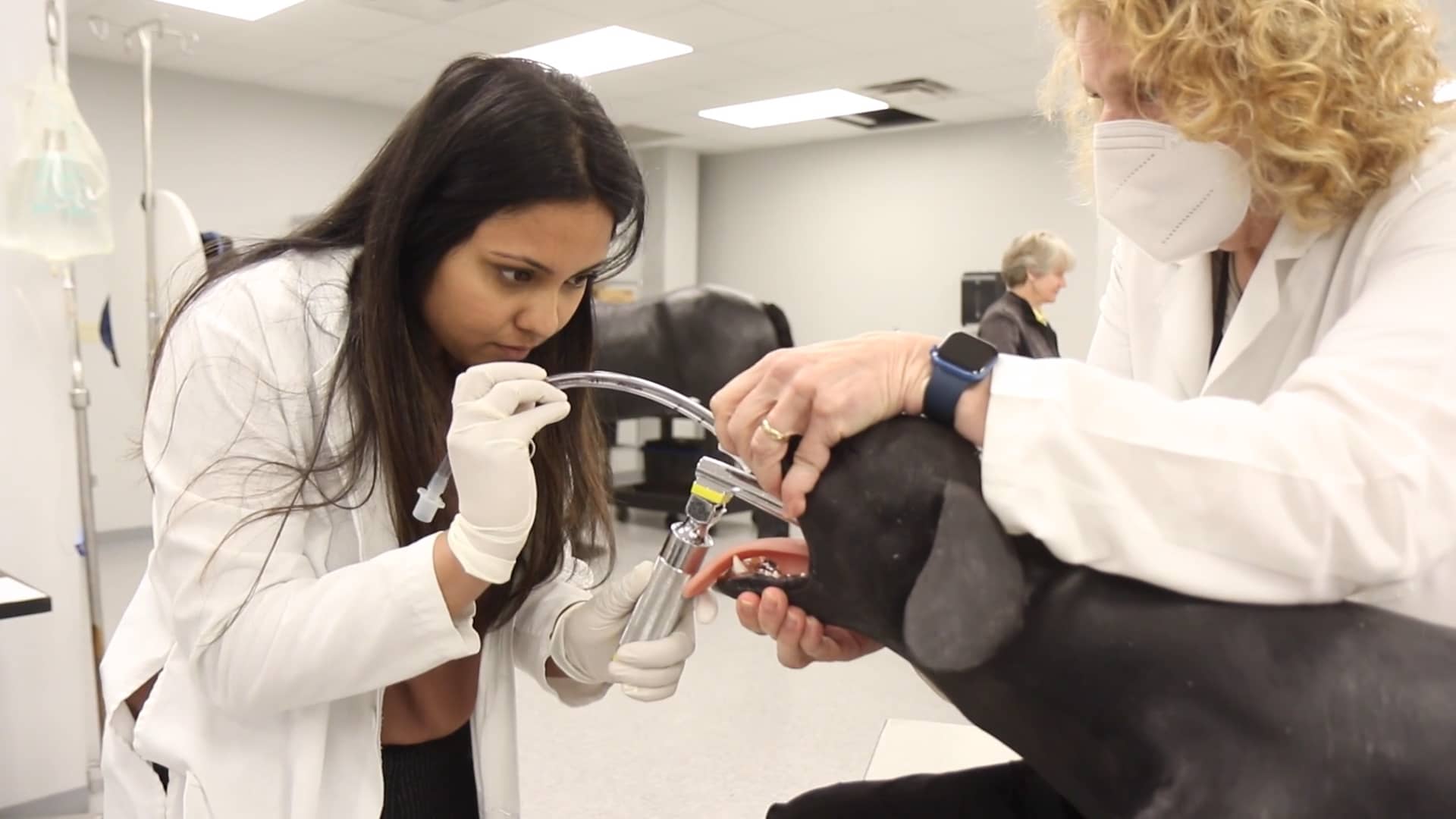 A May Message from Dean Carolyn Henry on Vimeo