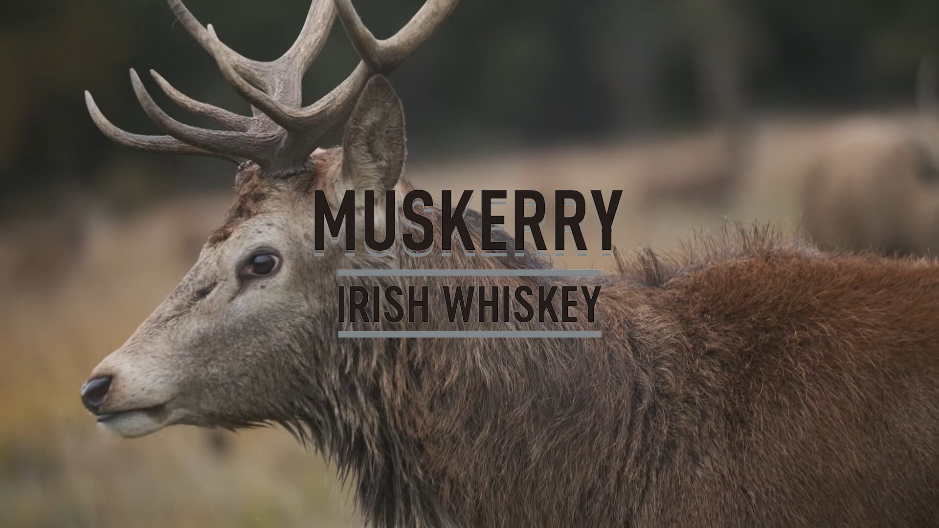 Muskerry Irish Whiskey