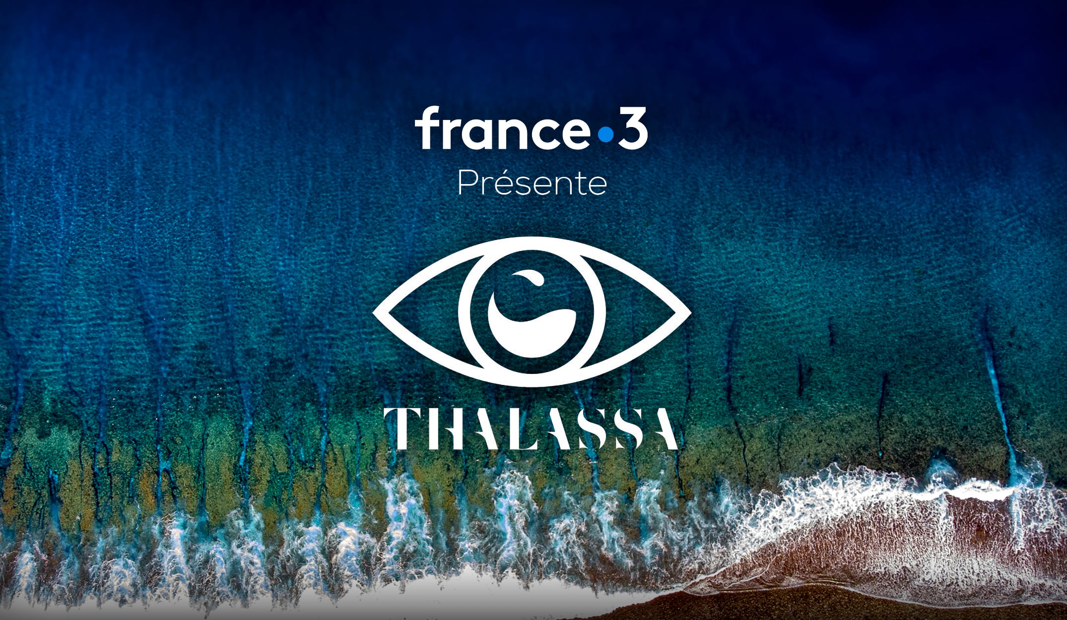 THALASSA on Vimeo