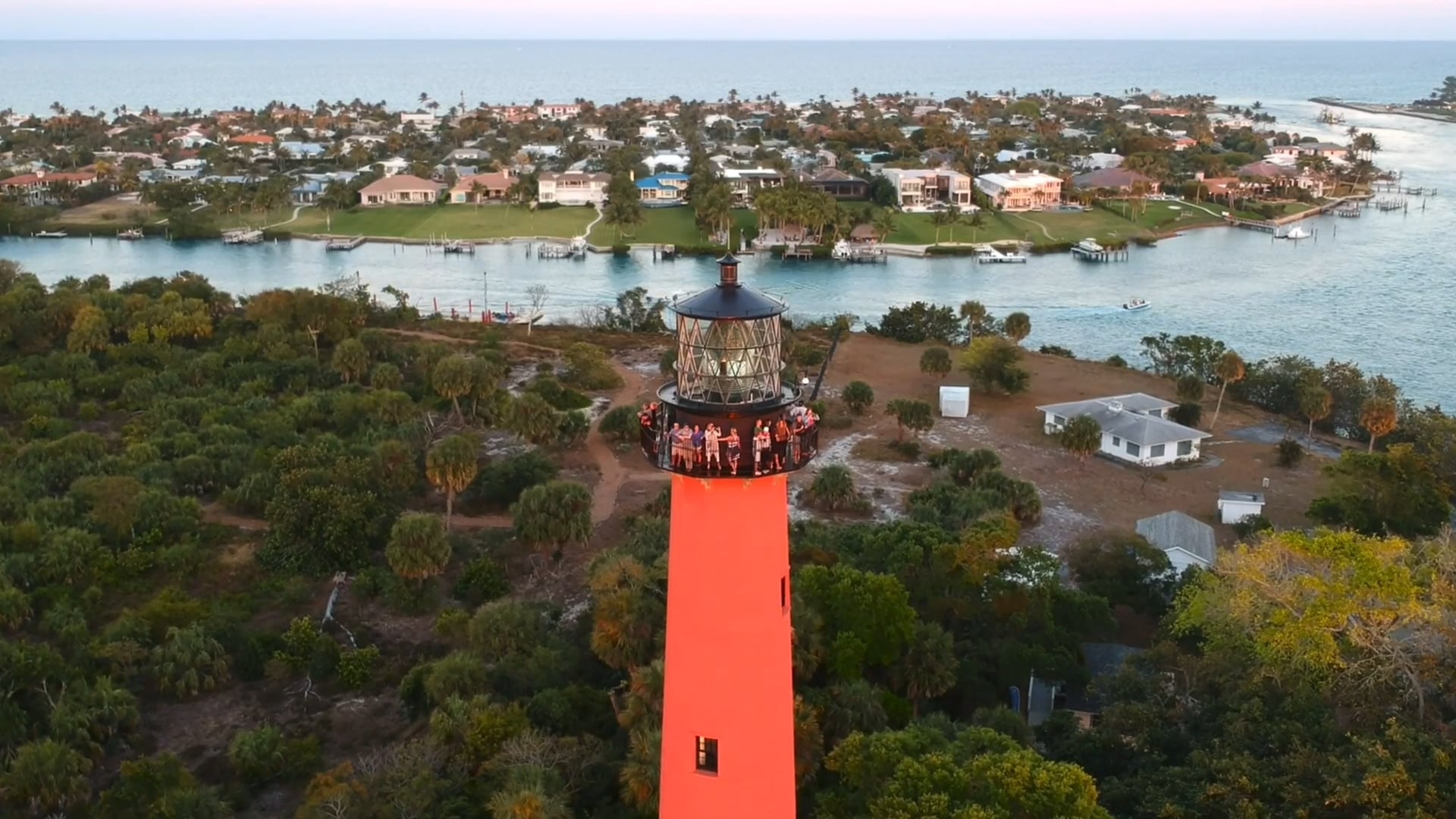 Explore Shark Diving in Jupiter, FL with Shark Addicts