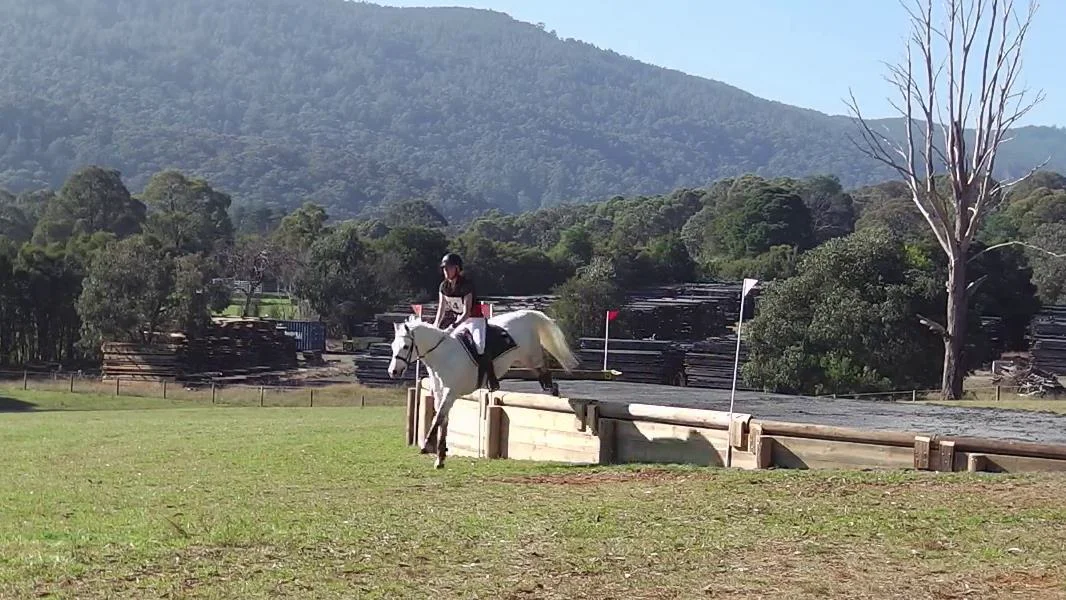 Macey Cooper riding Kingsfred Destiny 74 EvA80 Tintern Grammar ...