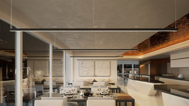 VERS-Grazer-SK (04) | Suspended Linear Grazer Fixture | QTL