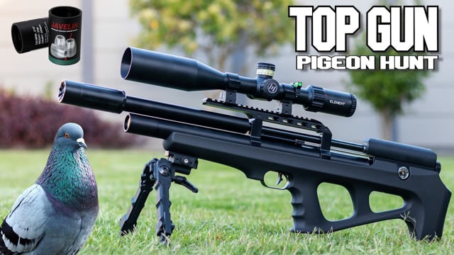 Top Gun | Pigeon Hunt | FX Maverick | FX Wildcat MKIII | FX Impact M3 ...