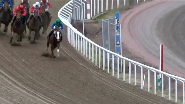 Power - Stallion | Breednet