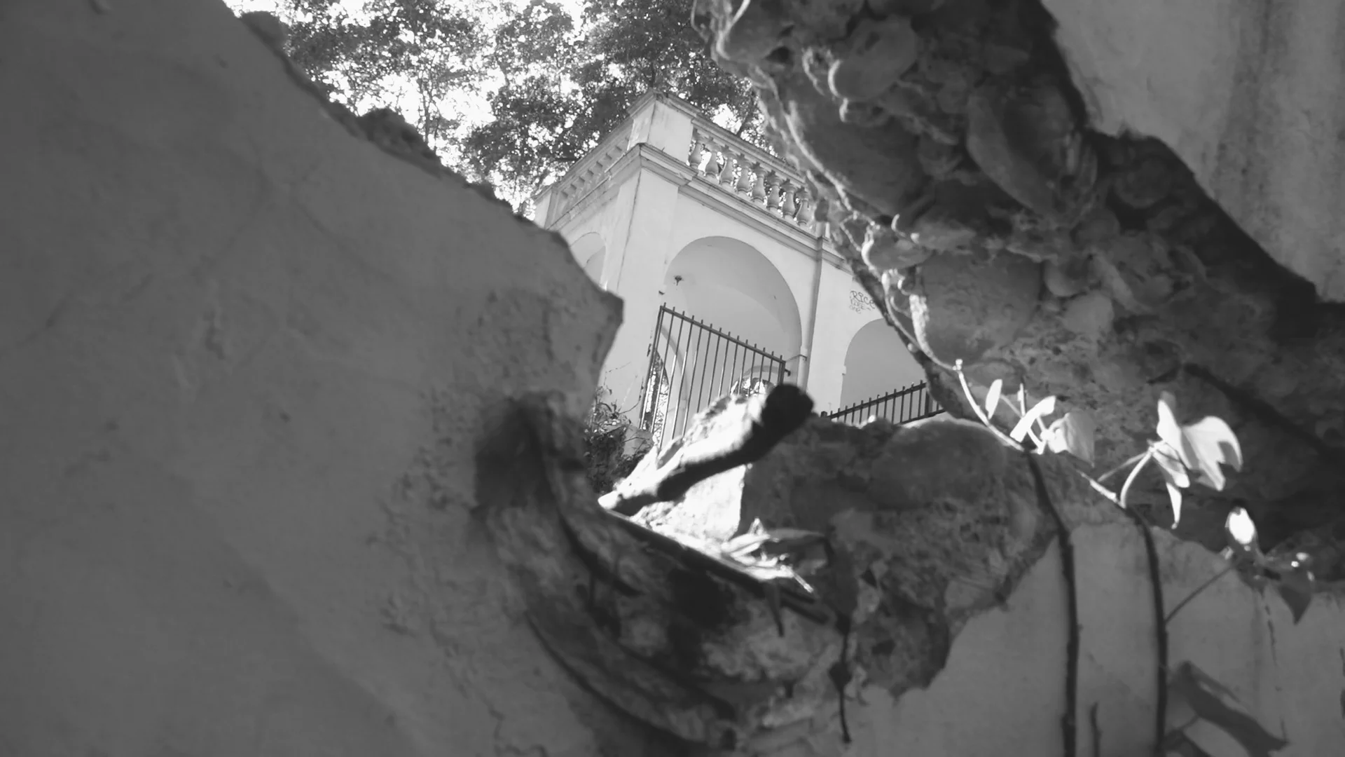 Somebody's Territory - A Documentary Short by Evan Lee Ambrose (FILM ...