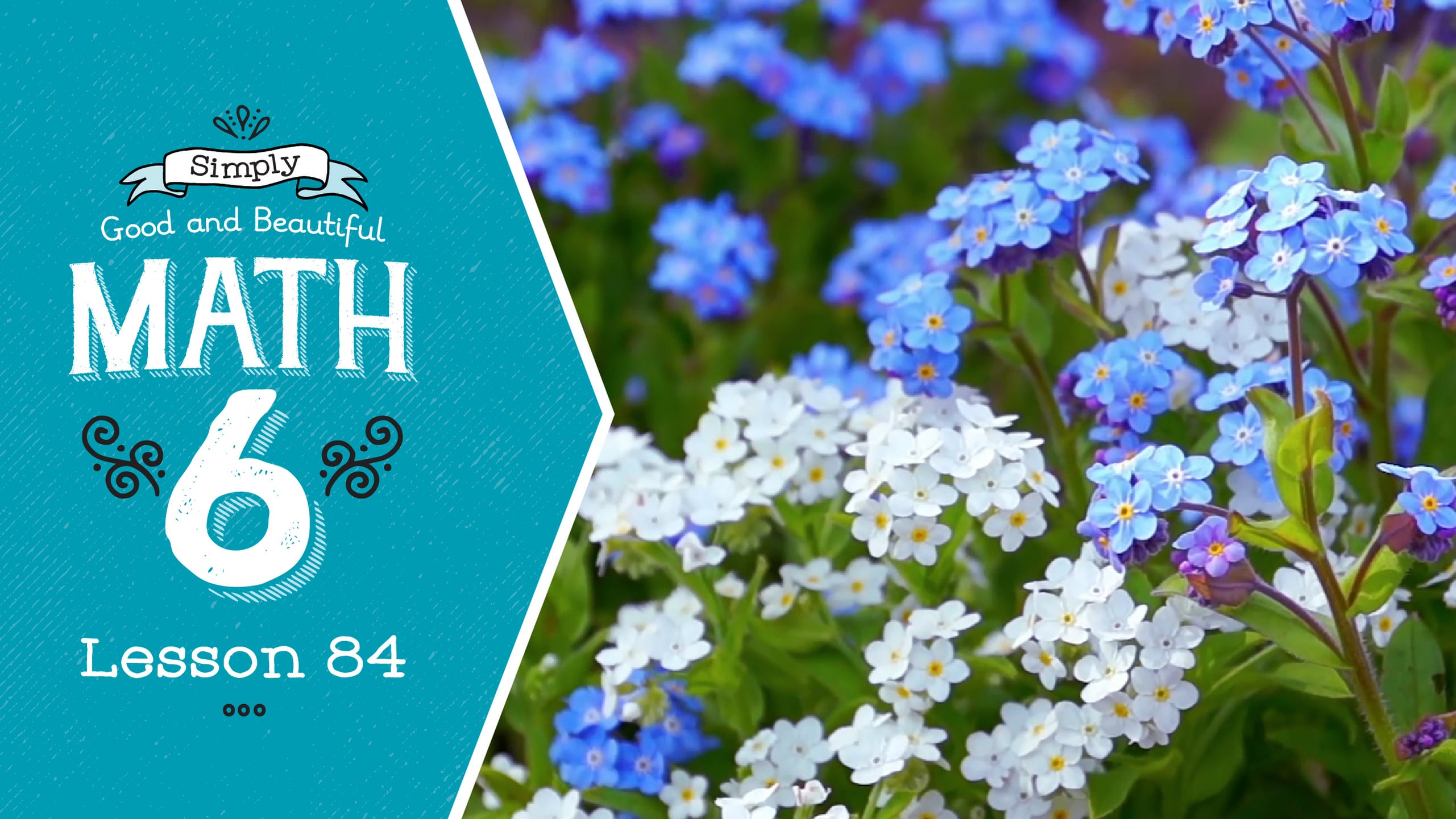 Lesson 84 | Simply Good and Beautiful Math 6 on Vimeo