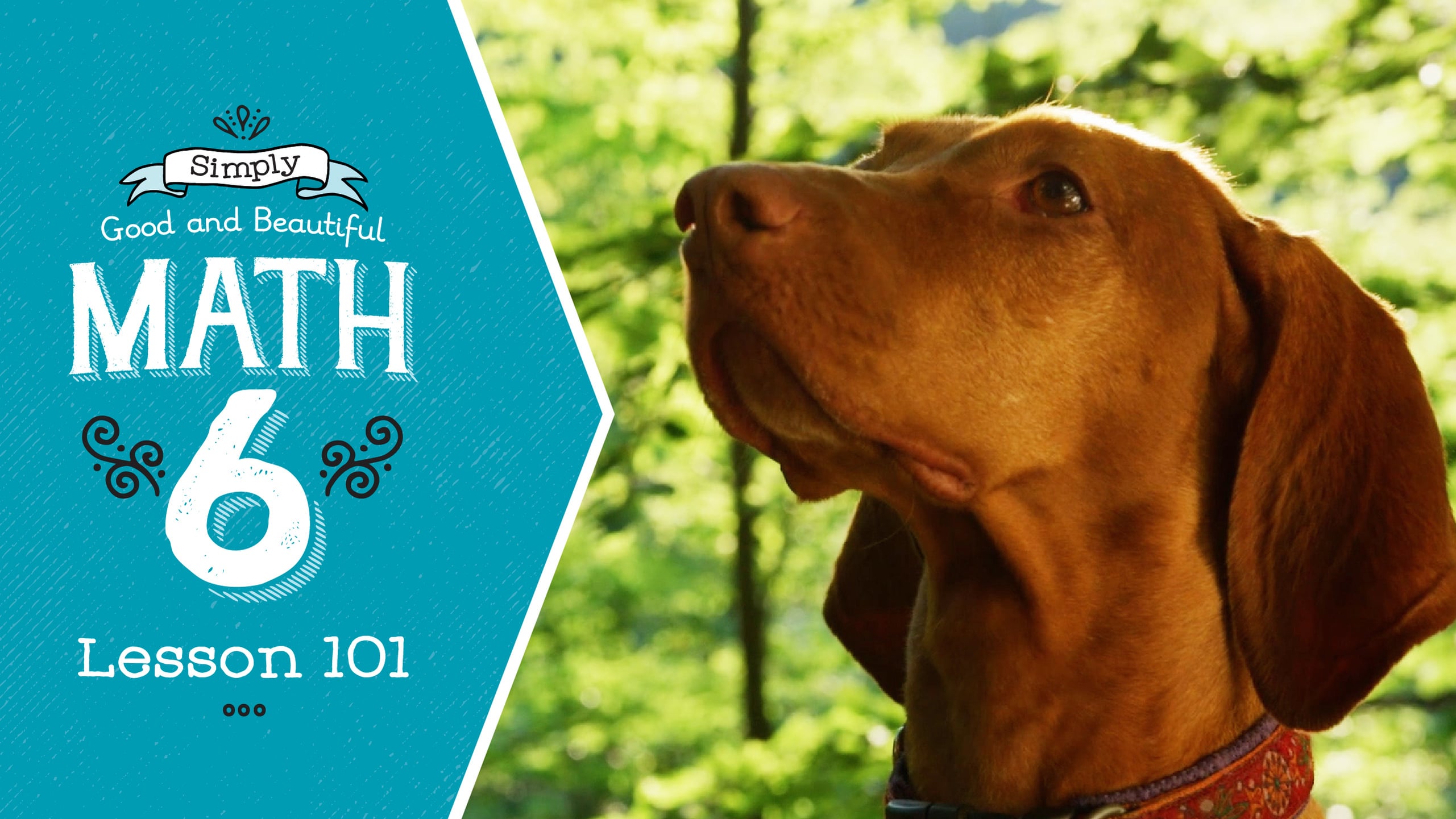 Lesson 101 | Simply Good and Beautiful Math 6 on Vimeo