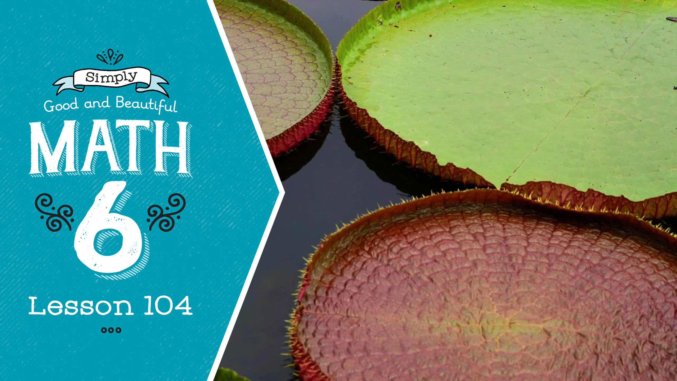 Lesson 104 | Simply Good and Beautiful Math 6 on Vimeo