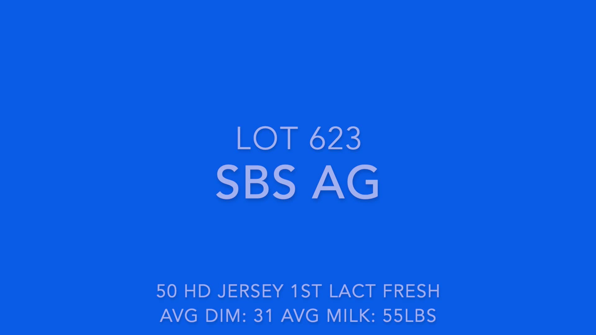 LOT 623 SBS AG on Vimeo