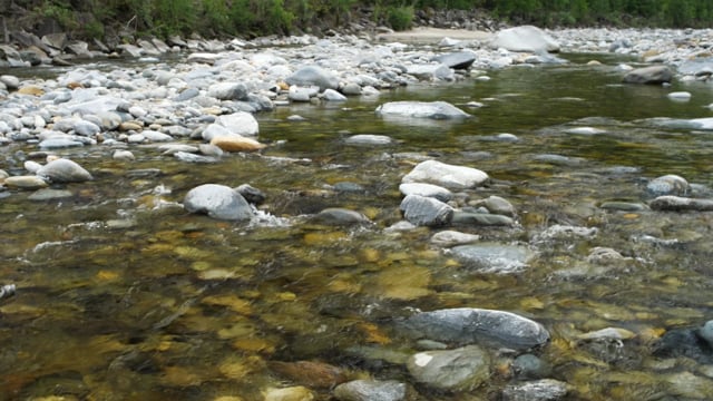 Riverbed Videos: Download 12+ Free 4K & HD Stock Footage Clips - Pixabay