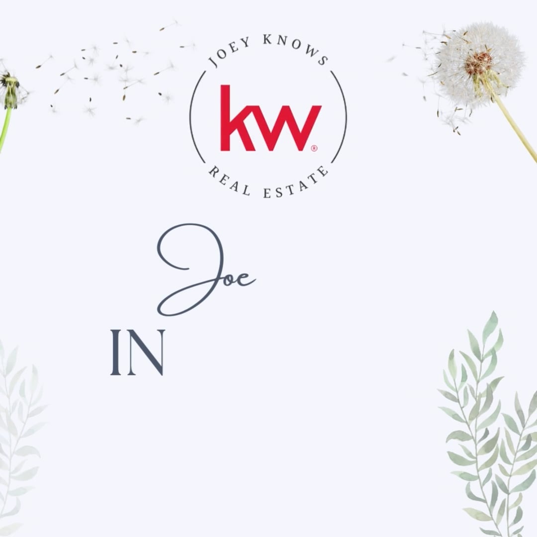 Joey Knows Investing on Vimeo