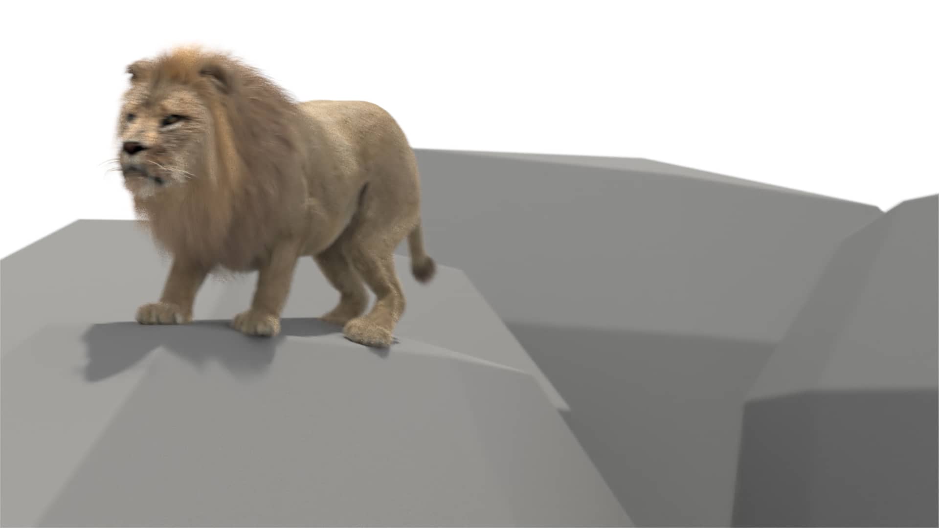 Lion | 3d creature animation on Vimeo